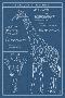 'Giraffe - Technical Blueprint - Lantern Press Artwork' Art - Lantern ...