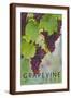 'Grapevine, Texas - Wine Grapes on Vine #3' Poster - Lantern Press ...