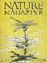 'Nature Magazine - View of a Dragonfly over a Pond, c.1926' Posters ...