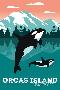 'Orcas Island, Washington - Orca Whale & Calf - Go Freestyle - Lantern ...