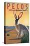 'Pecos National Historical Park - Jackrabbit - Lithograph - Lantern ...