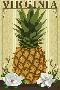 'Virginia - Colonial Pineapple - Lantern Press Artwork' Poster ...