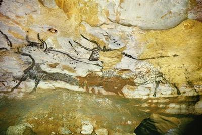 'Lascaux Caves, Right Wall of the Hall of Bulls, C. 17,000 BC' Giclee ...