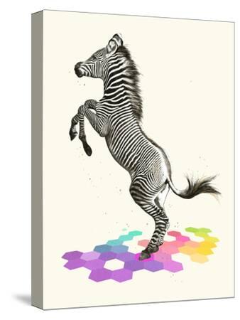 'Zebra' Stretched Canvas Print - Laura Graves | AllPosters.com
