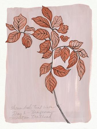 'Trail Walk Journal I' Posters - Laura Marr | AllPosters.com