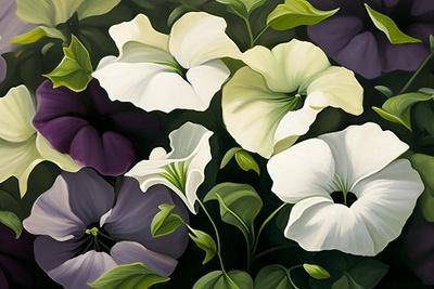 'White Petunias' Posters - Lea Faucher | AllPosters.com