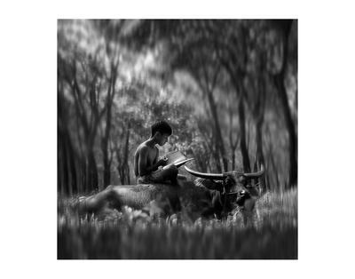 'Learn Spirit' Posters | AllPosters.com