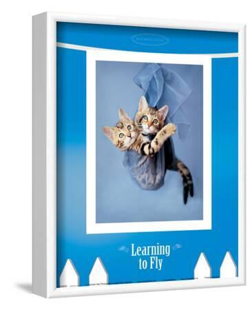 'Learning to Fly' Poster - Rachael Hale | AllPosters.com