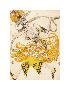 'The Firebird Ballet' Premium Giclee Print - Leon Bakst | AllPosters.com