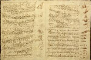 Codex (da Vinci) Posters, Prints, Paintings & Wall Art | AllPosters.com