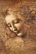 'Leonardo Da Vinci (Female Head, La Scapigliata)' Posters | AllPosters.com