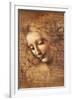 'Leonardo Da Vinci (Female Head, La Scapigliata)' Posters | AllPosters.com