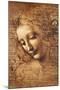 'Leonardo Da Vinci (Female Head, La Scapigliata)' Posters | AllPosters.com