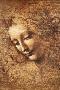 'Leonardo Da Vinci (Female Head, La Scapigliata)' Posters | AllPosters.com