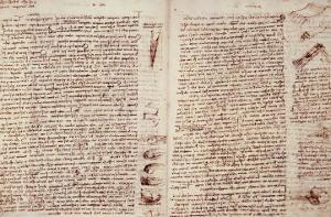 Codex (da Vinci) Posters, Prints, Paintings & Wall Art | AllPosters.com