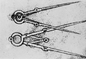 Codex (da Vinci) Posters, Prints, Paintings & Wall Art | AllPosters.com