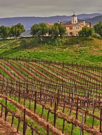 'Leoness Cellars, Temecula, California, USA' Photographic Print ...