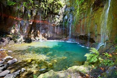 'Levada 25 fountains, Rabacal, Madeira Island, Portugal' Photo | AllPosters.com