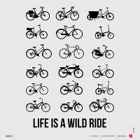 'Life is a Wild Ride Poster I' Art - NaxArt | AllPosters.com