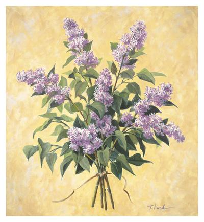 'Lilac Season I' Prints - Todd Telander | AllPosters.com