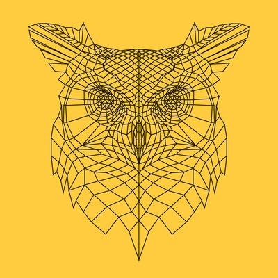 'Yellow Owl Mesh' Print - Lisa Kroll | AllPosters.com
