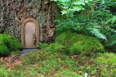 'Little Wooden Fairy Tale Door In A Tree Trunk' Prints - Hannamariah ...