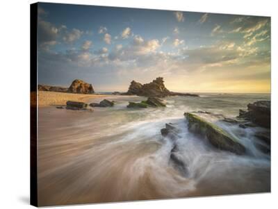'Movement in Nature' Stretched Canvas Print - Lloyd Lane | AllPosters.com