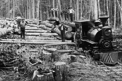 'Loggers and Logging Locomotive' Photographic Print | AllPosters.com
