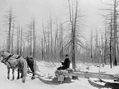 'Logging in Michigan, the Sled' Photo | AllPosters.com