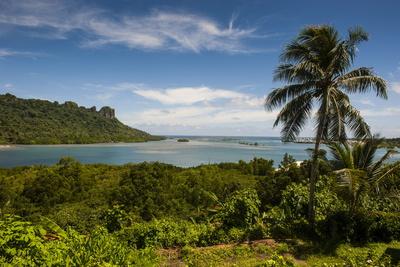 'Lonely Palm Tree, Pohnpei (Ponape), Federated States of Micronesia ...