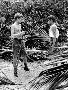 Lord Of The Flies, Tom Chapin, James Aubrey, 1963 Photo | AllPosters.com
