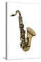Tenor Saxophone Stretched Canvas Print - Lottie Fontaine | AllPosters.com