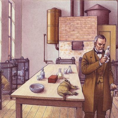 'Louis Pasteur in His Laboratory' Giclee Print - Pat Nicolle ...