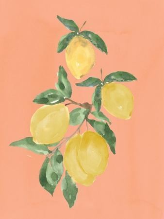 'Lemons' Prints - Lucille Price | AllPosters.com