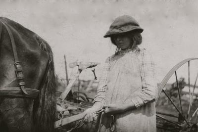 Lucy Saunders hitching the team to the horse rake Photo | AllPosters.com