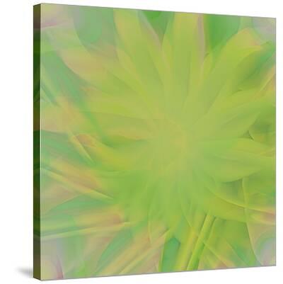 'Luminous Unison - Break' Stretched Canvas Print - Michael Banks ...
