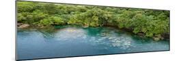 Lush jungle on a remote tropical island is fringed by a coral reef in ...