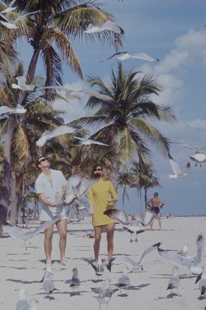 'Key Biscayne' Photographic Print - Lynn Pelham | AllPosters.com
