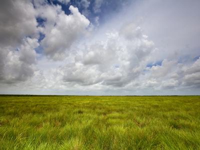 'Mad Island Marsh Preserve, Texas: Landscape of the Marsh's Coastal ...