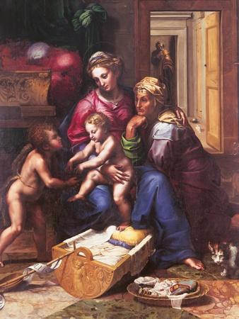 'Madonna of the Cat' Giclee Print - Giulio Romano | AllPosters.com