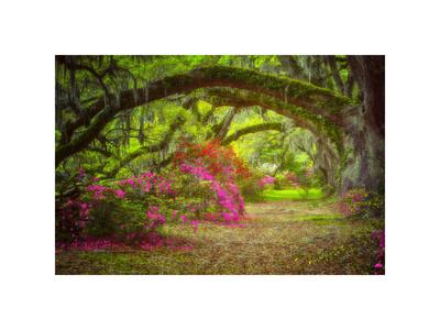 'Magnolia Gardens' Giclee Print - Robert Lott | AllPosters.com