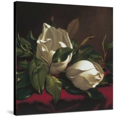'Magnolia Still Life I (detail)' Stretched Canvas Print - Martin ...