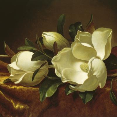 'Magnolia Still Life II (detail)' Giclee Print - Martin Johnson Heade ...