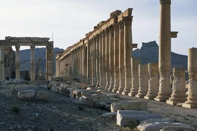 'Main Colonnaded Street of Palmyra' Photographic Print | AllPosters.com