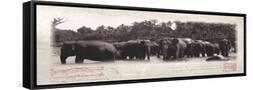 Elephant Journal Stretched Canvas Print - Malcolm Sanders | AllPosters.com