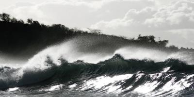 'Spindrift Noir' Giclee Print - Malcolm Sanders | AllPosters.com