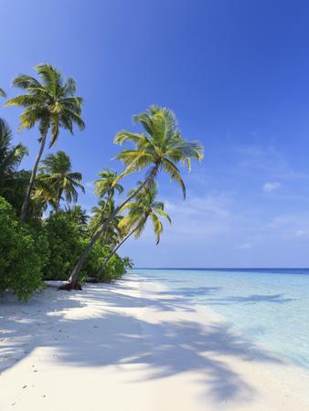 'Maldives, Faafu Atoll, Filitheyo Island' Photographic Print - Michele ...