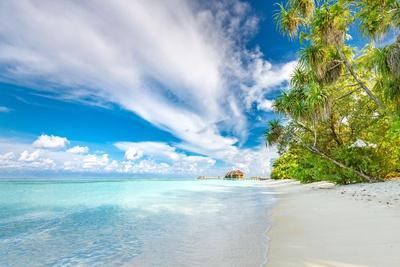 'Maldives landscape. Tropical beach scene, blue sea and palm trees and ...