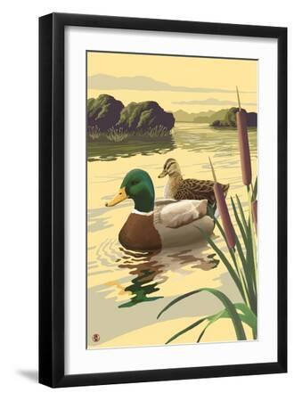 'Mallard Ducks' Prints - Lantern Press | AllPosters.com