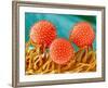 'Mallow Plant Pollen Magnified 300 Times' Photographic Print - Micro ...